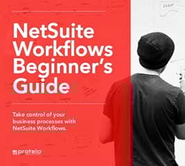 NetSuite Workflows Beginner’s Guide PDF