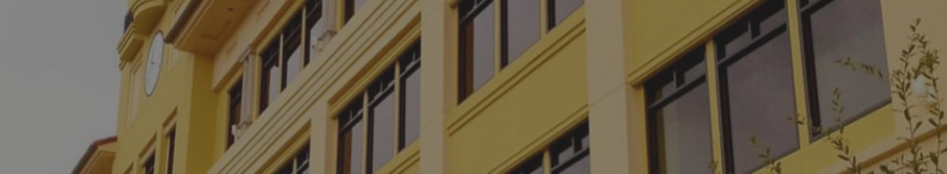 Oracle NetSuite Partner for ERP and CRM Software | Protelo, Inc.